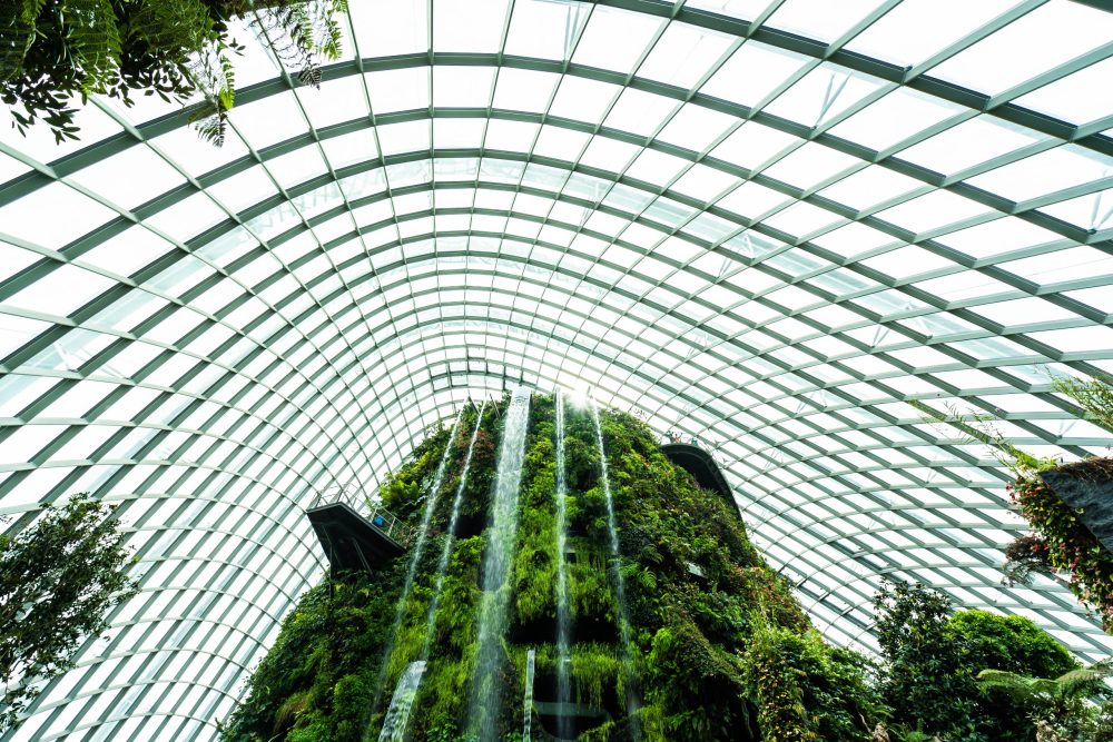 O que é Arquitetura Biomimética? - Vivariun Empreendimentos